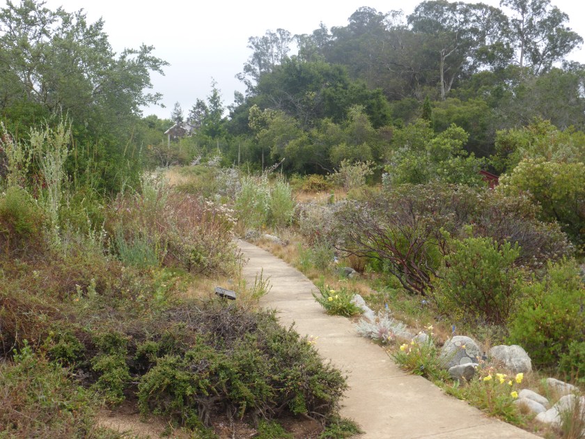 Tale of Two Butterfly Gardens – Conservation Sense and Nonsense