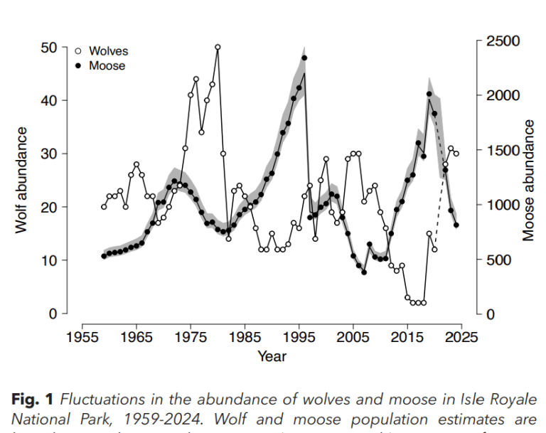 Isle Royale: Long-term study of predator/prey dynamics – Conservation ...